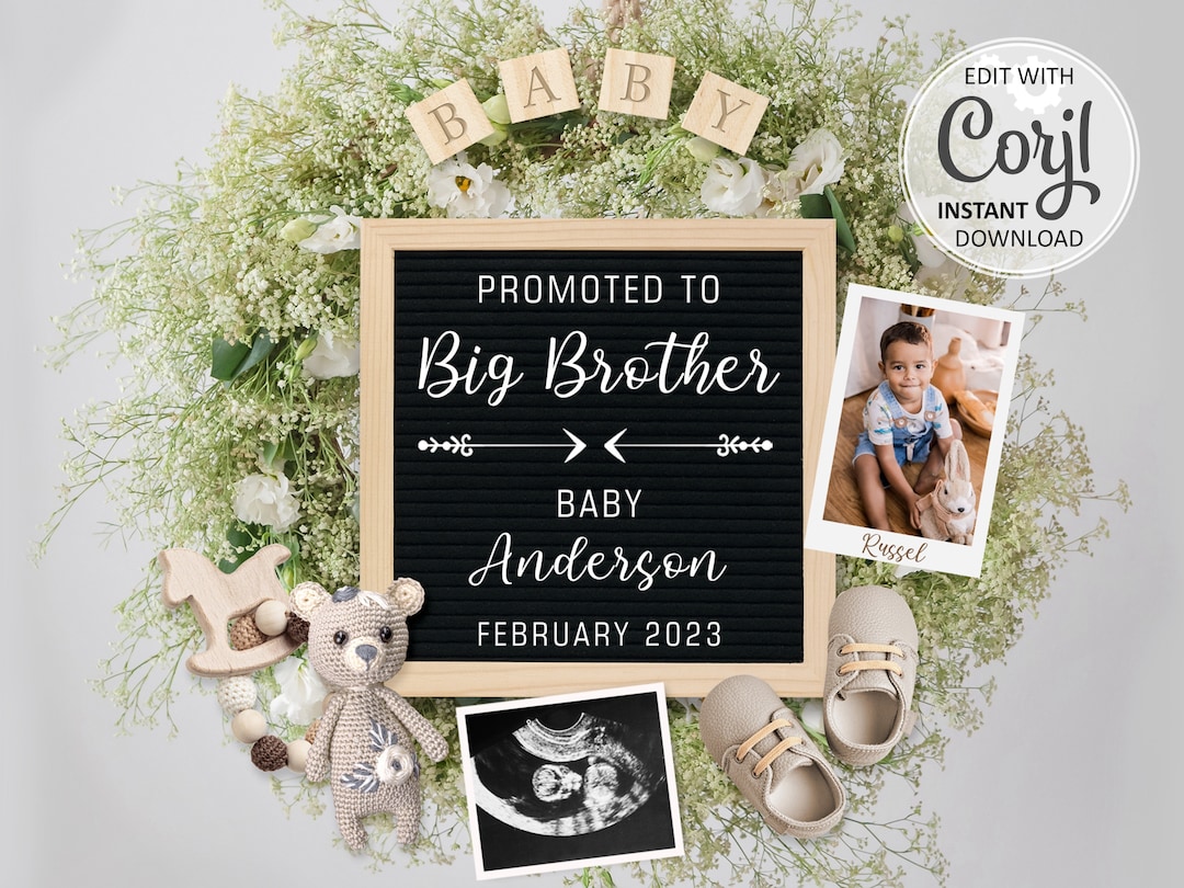 Big Brother Pregnancy Announcement Digital, Second Baby Announcement ...