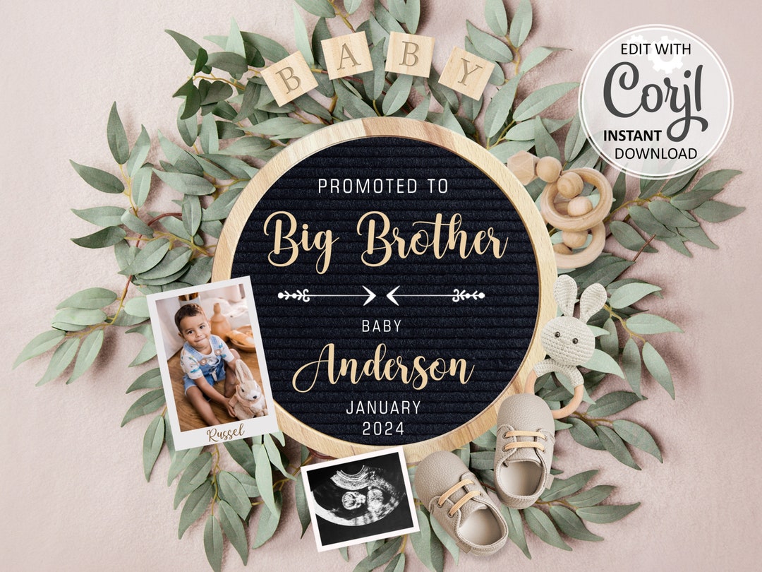 Big Brother Pregnancy Announcement: Editable Social Media Baby Reveal ...