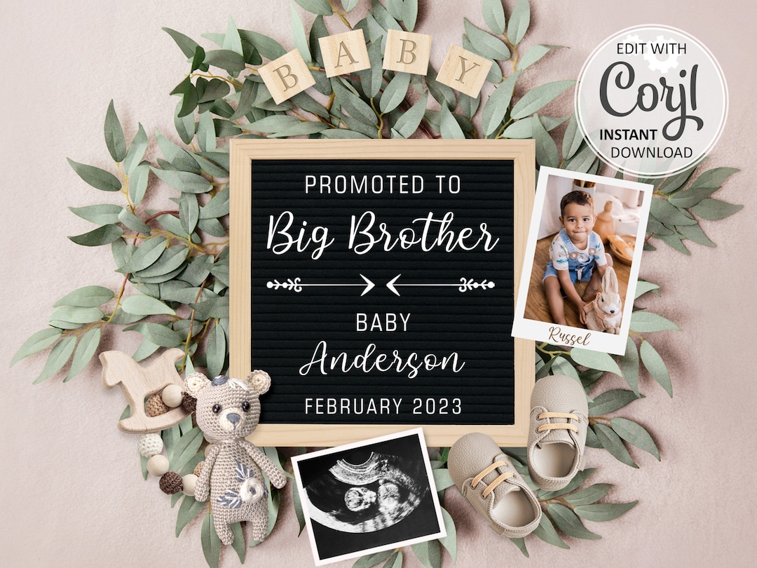 Big Brother Pregnancy Announcement Digital, Second Baby Announcement ...