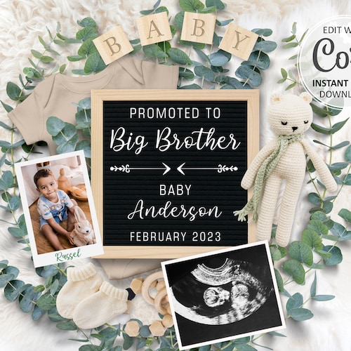 Big Brother Pregnancy Announcement Digital Second Baby - Etsy