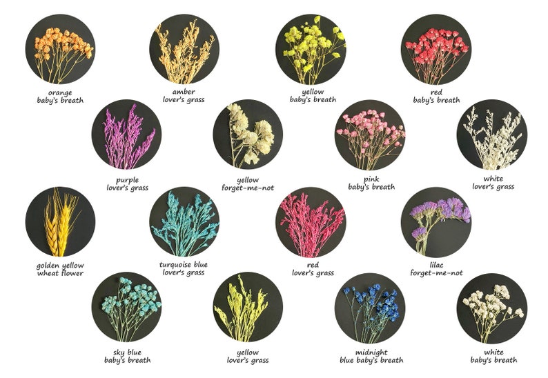 Customizable Real Flower Greeting Cards for All Occasions With ...