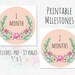 Printable Baby Milestones - Printable Milestones - Printable Milestone ...