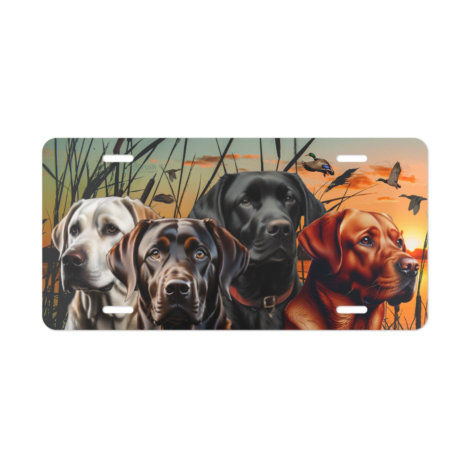 Labrador Retriever License Plate, Duck Hunting Gifts, Fox Red Labrador ...