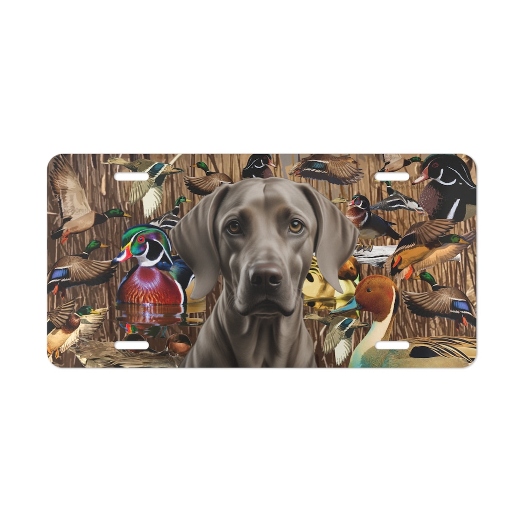 Weimaraner License Plate Duck Hunting License Plate Duck - Etsy