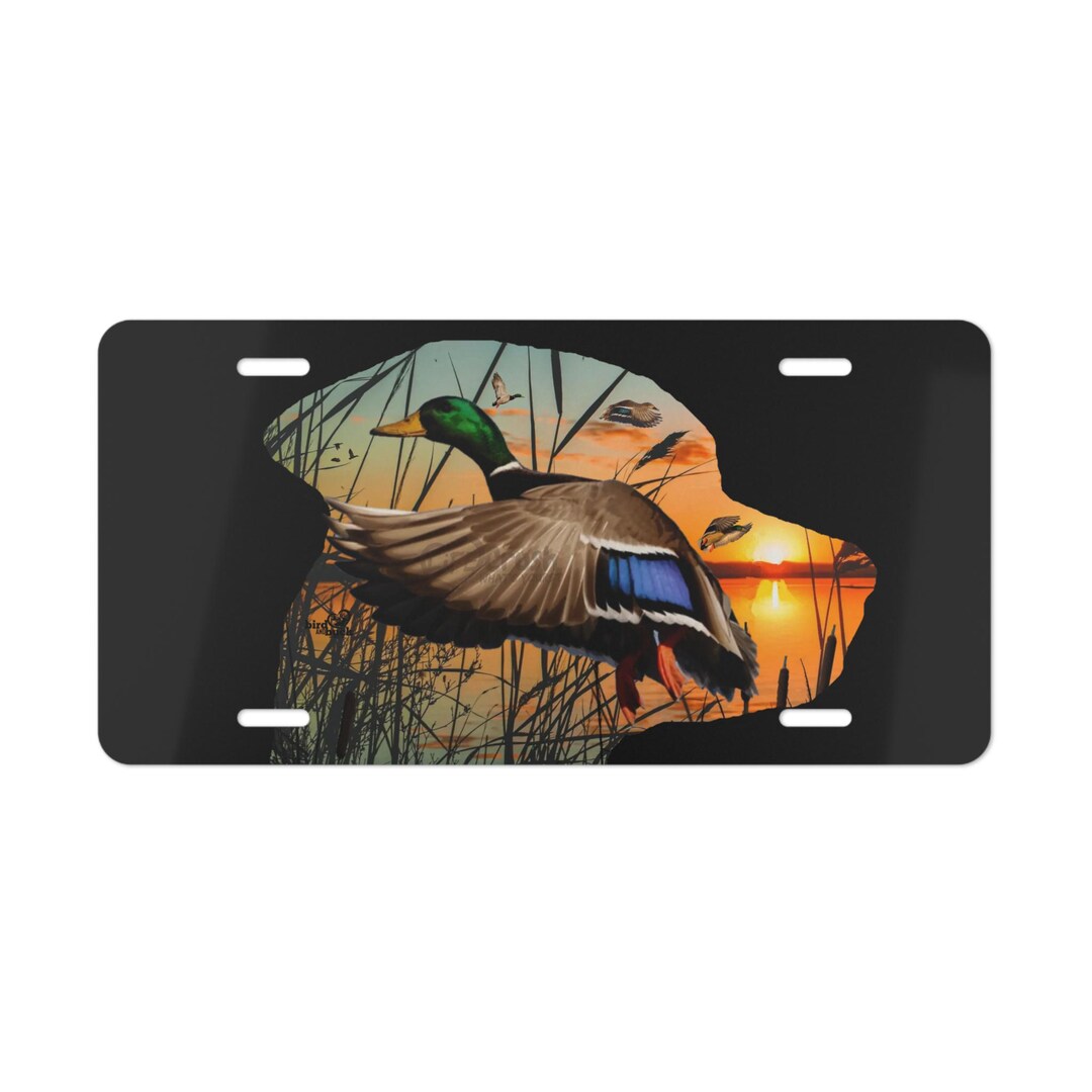 Labrador Retriever License Plate, Duck Hunting License Plate, Duck ...