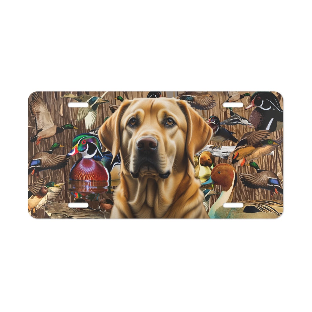 Yellow Labrador Retriever License Plate, Duck Hunting License Plate ...