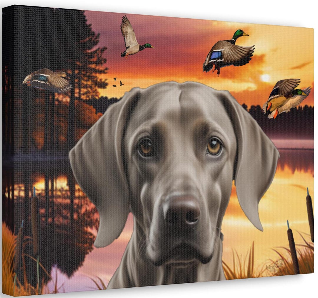 Weimaraner Wall Art, Duck Hunting Wall Art, Duck Dog Decor, Duck ...