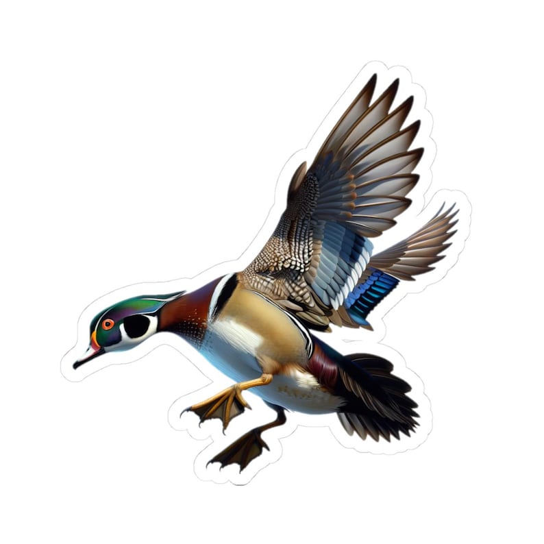 Wood Duck Kiss-cut Stickers, Duck Stickers, Duck Hunting Stickers, Duck ...