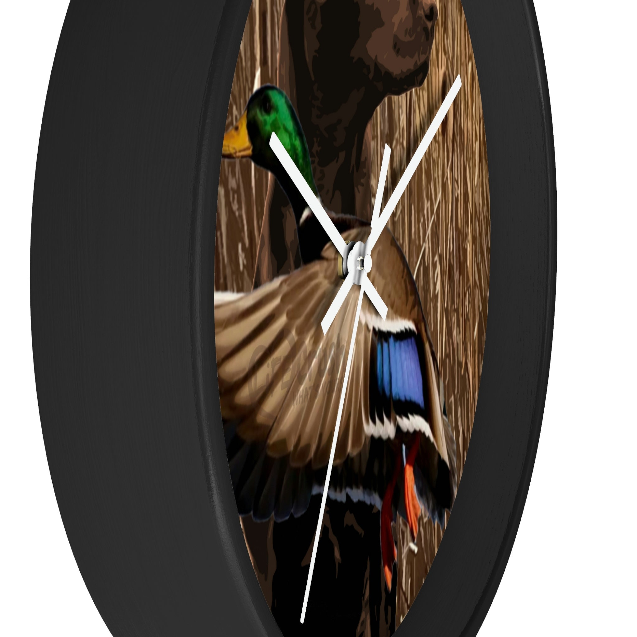 Chocolate Labrador Gifts, Chocolate Lab Gift Ideas, Chocolate Labrador ...