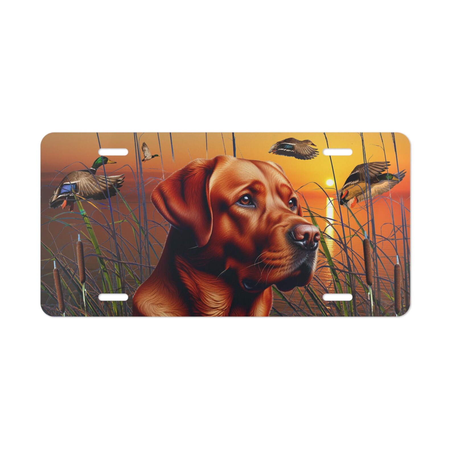 Fox Red Labrador Retriever License Plate, Duck Hunting Gifts, Fox Red ...