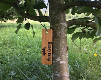 Tree Labels - Etsy
