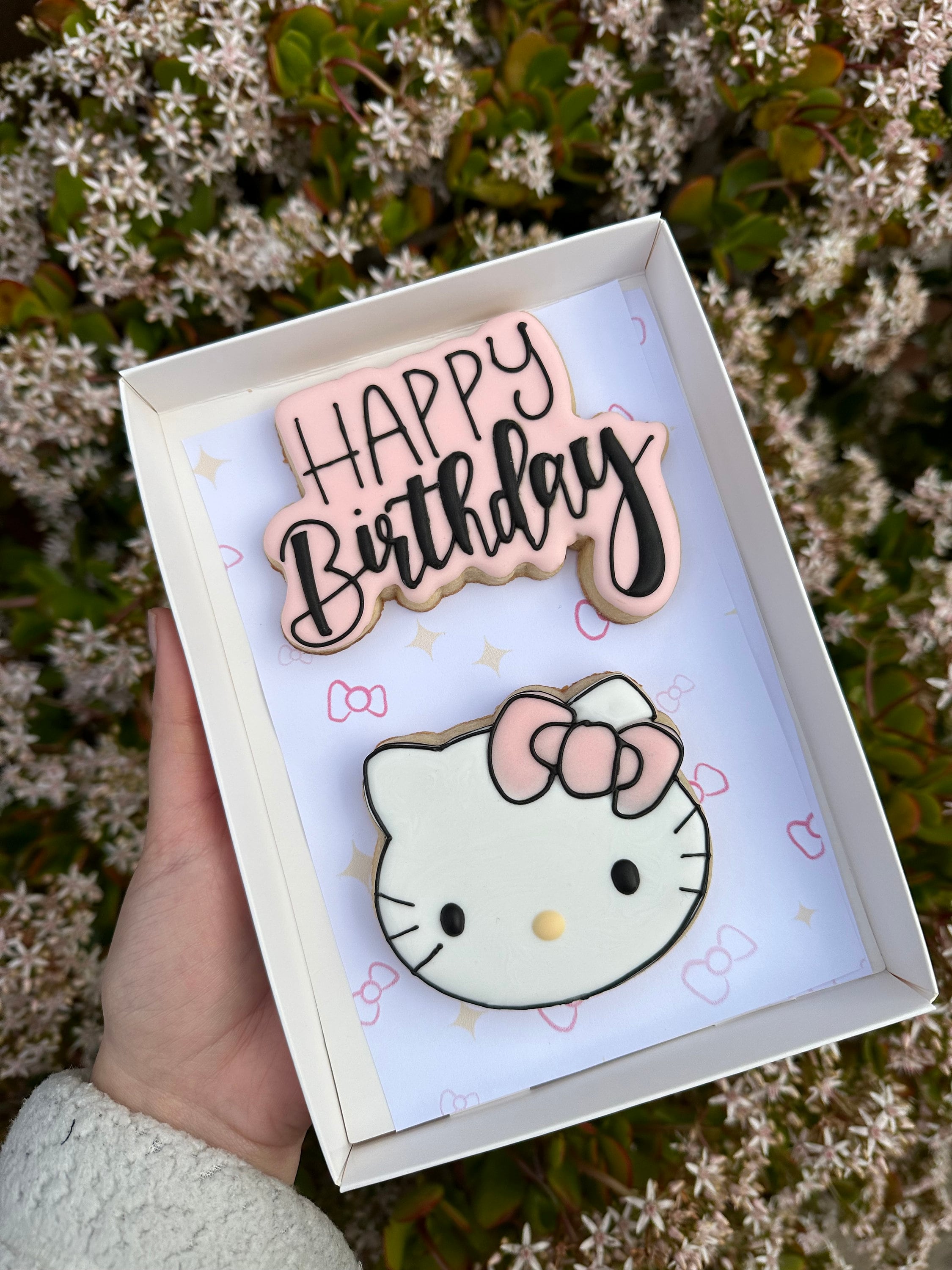 Hello Kitty Birthday Sugar Cookies Gift Box - Etsy