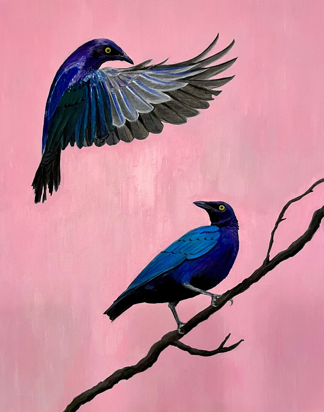 Large Original Oil Painting of Two Purple Glossy Starlings - Etsy