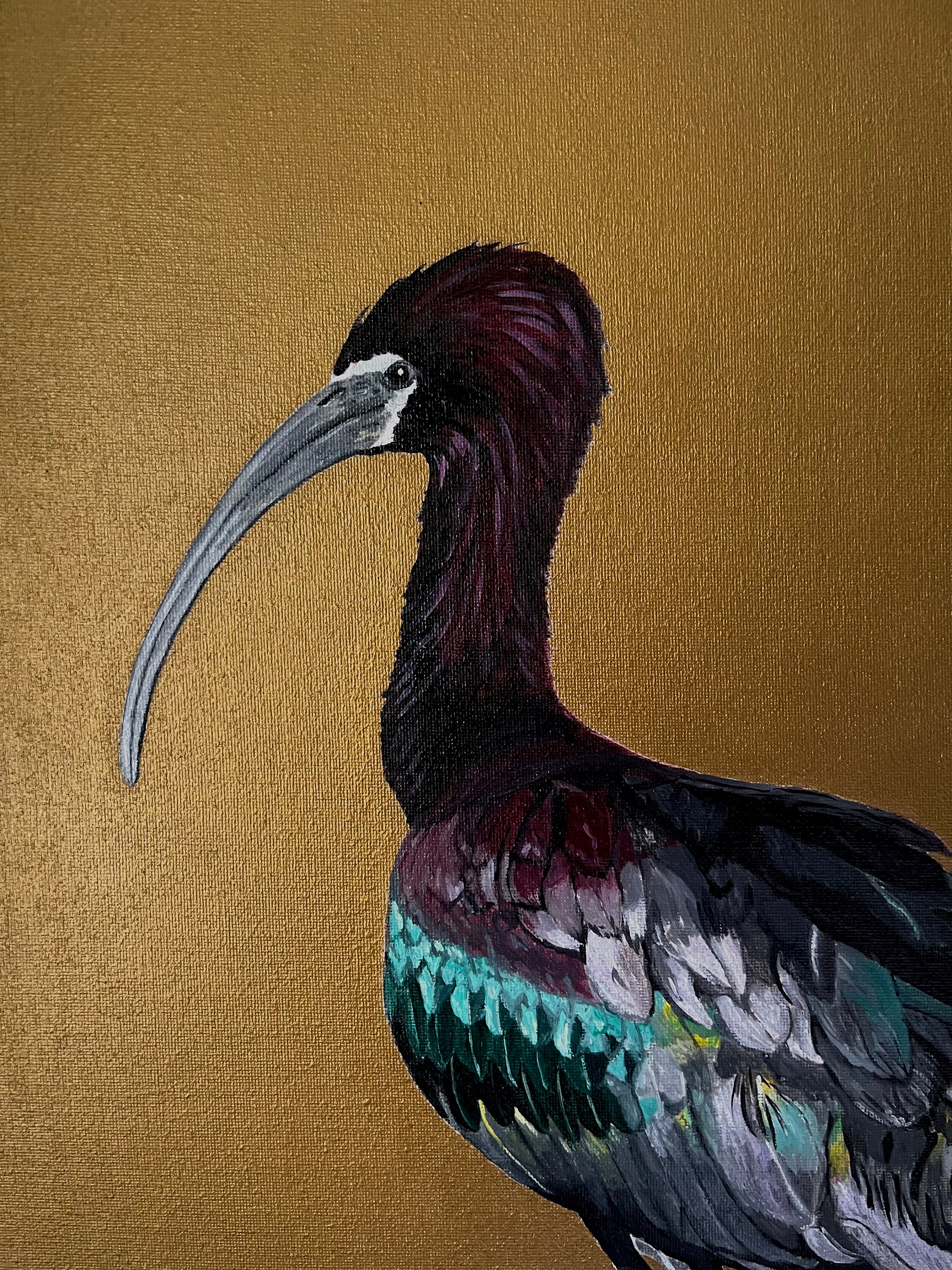 Large Original Oil Painting of a Glossy Ibis and Purple Hairstreak ...
