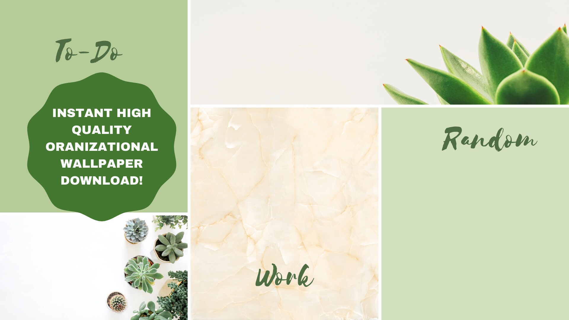 Desktop Organizer Wallpaper| Downloadable| Green Succulent Theme ...