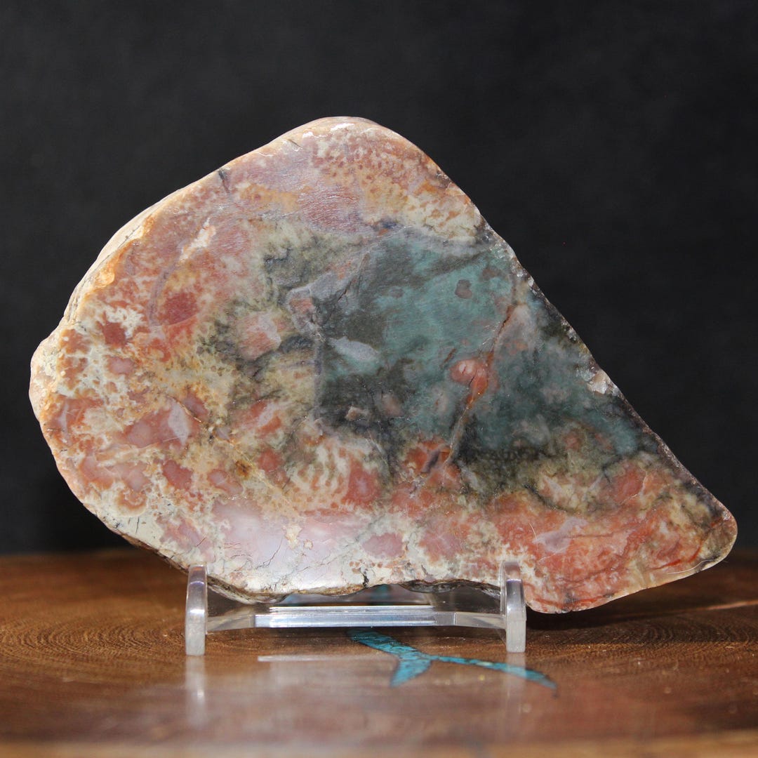 Wide Dinosaur Poop Fossil Coprolite Collectors Red Gray Agate Rock ...