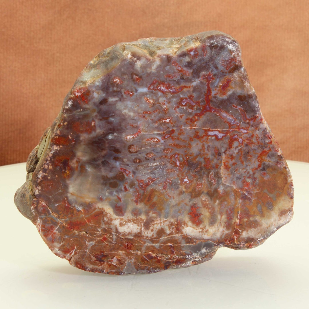Large Coprolite Dinosaur POOP DUNG FECES Fossil for Sale Agate - Etsy