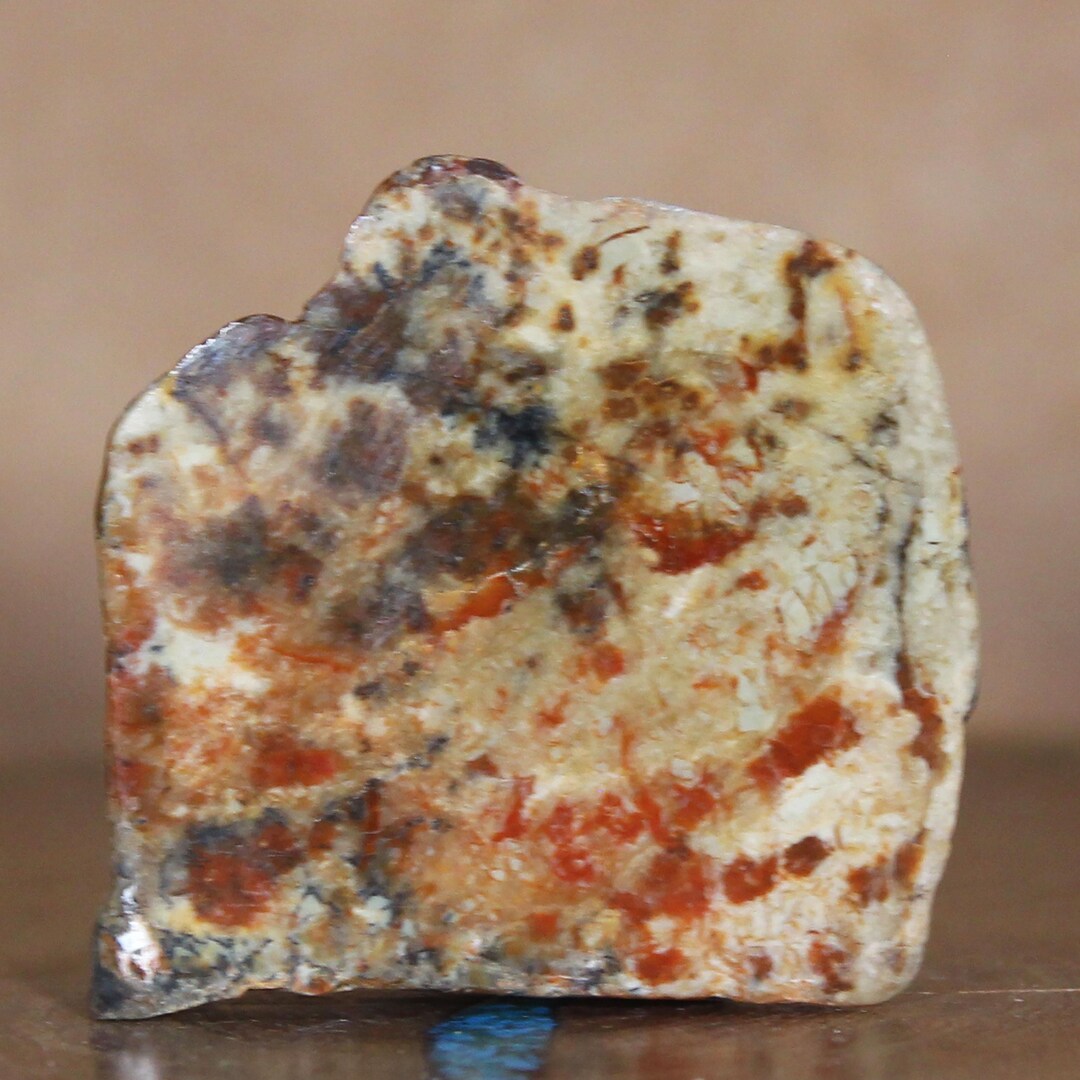 Dinosaur Fossil Coprolite Poop Wide Face Collectors Quality Red Brown ...