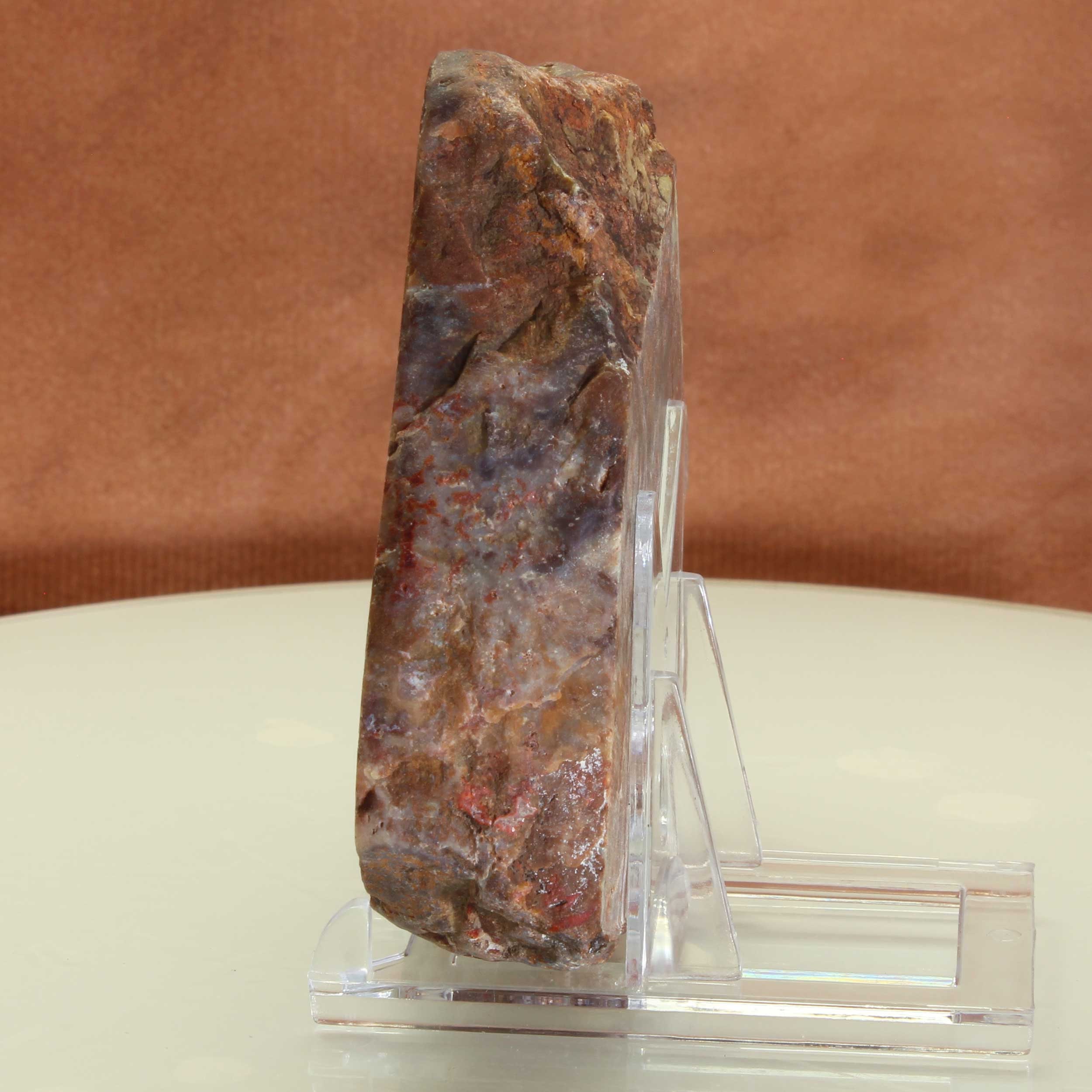 Large Coprolite Dinosaur POOP DUNG FECES Fossil for Sale Agate - Etsy