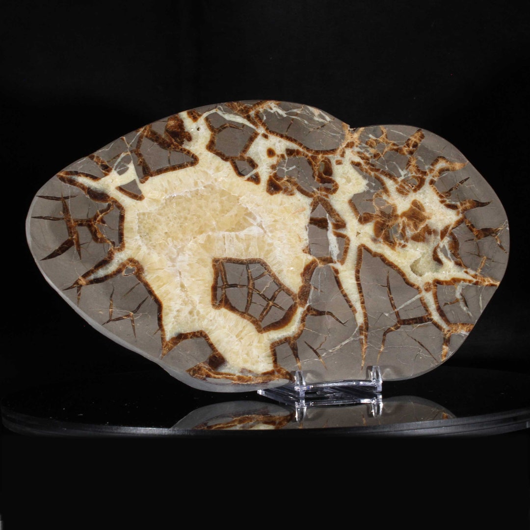 Septarian Geode Dragon Stone Slice Rorschach Pattern Golden Yellow ...