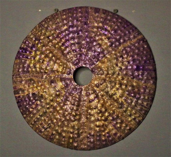 12 Inch Round Wall Art | Etsy