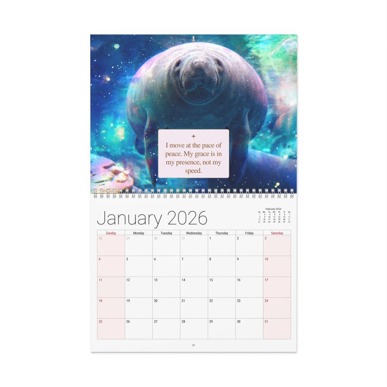 Manatee Affirmations 2026 Wall Calendar: Sea Cow Serenity Gift - Etsy