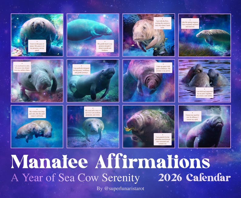 Manatee Affirmations 2026 Wall Calendar: Sea Cow Serenity Gift - Etsy