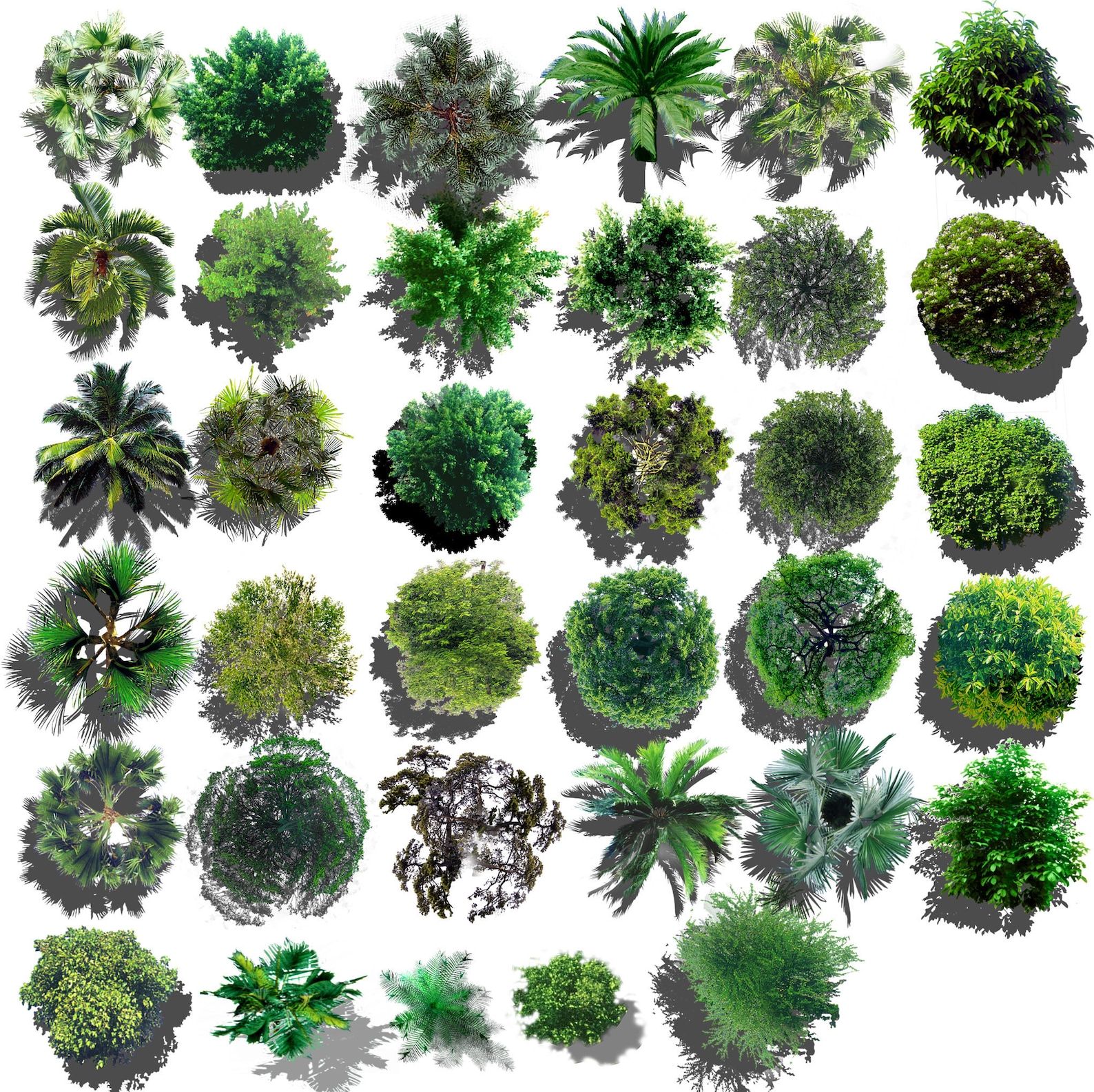 35 Landscape Plants Photoshop Overlays in PSD Format plant | Etsy