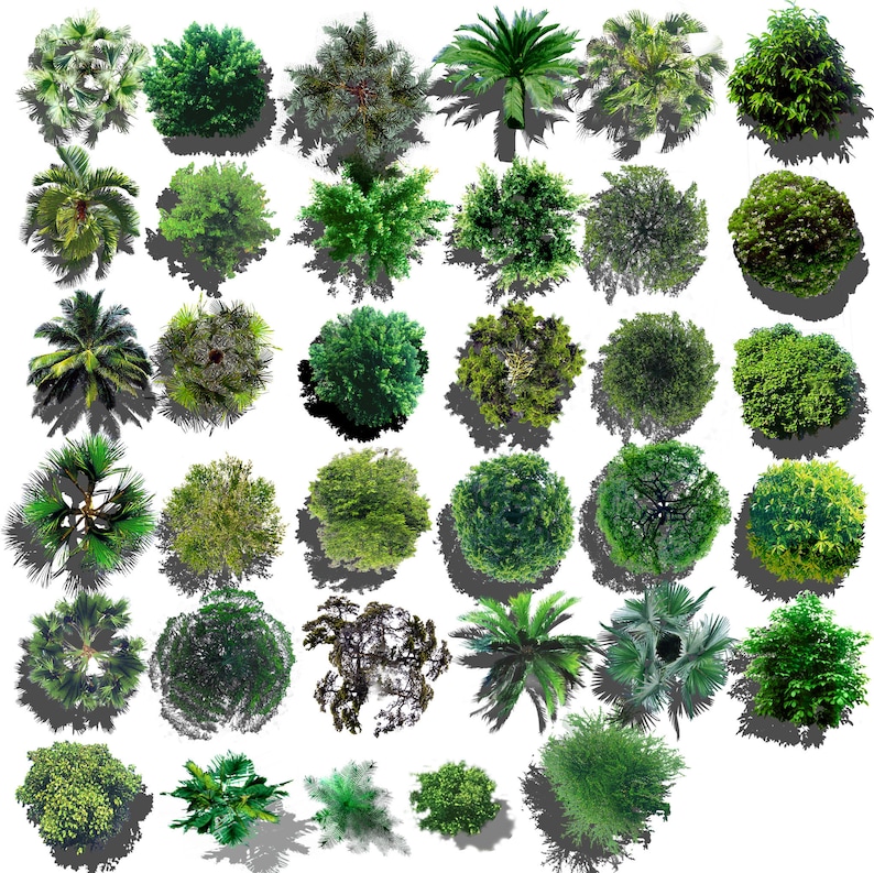 35 Landscape Plants Photoshop Overlays in PSD Format plant | Etsy