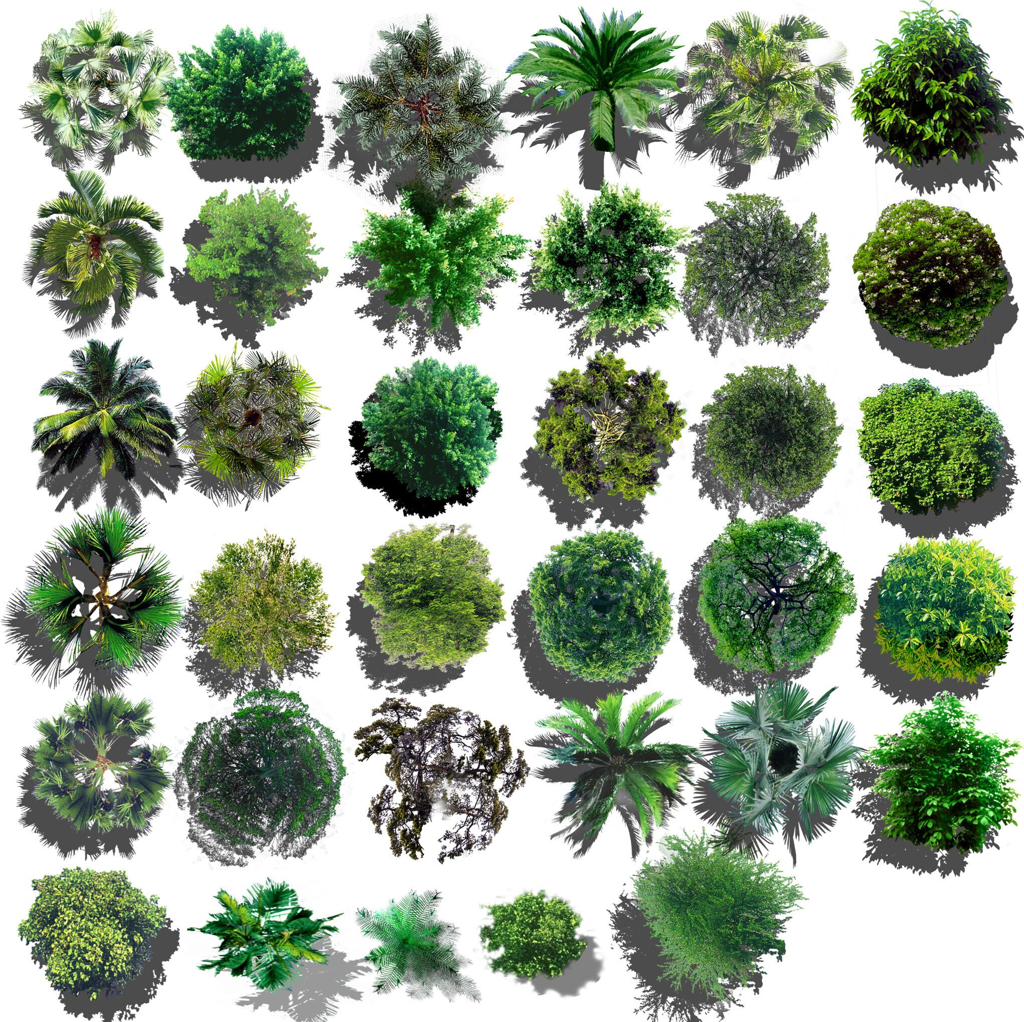 35 Landscape Plants Photoshop Overlays in PSD Format plant | Etsy