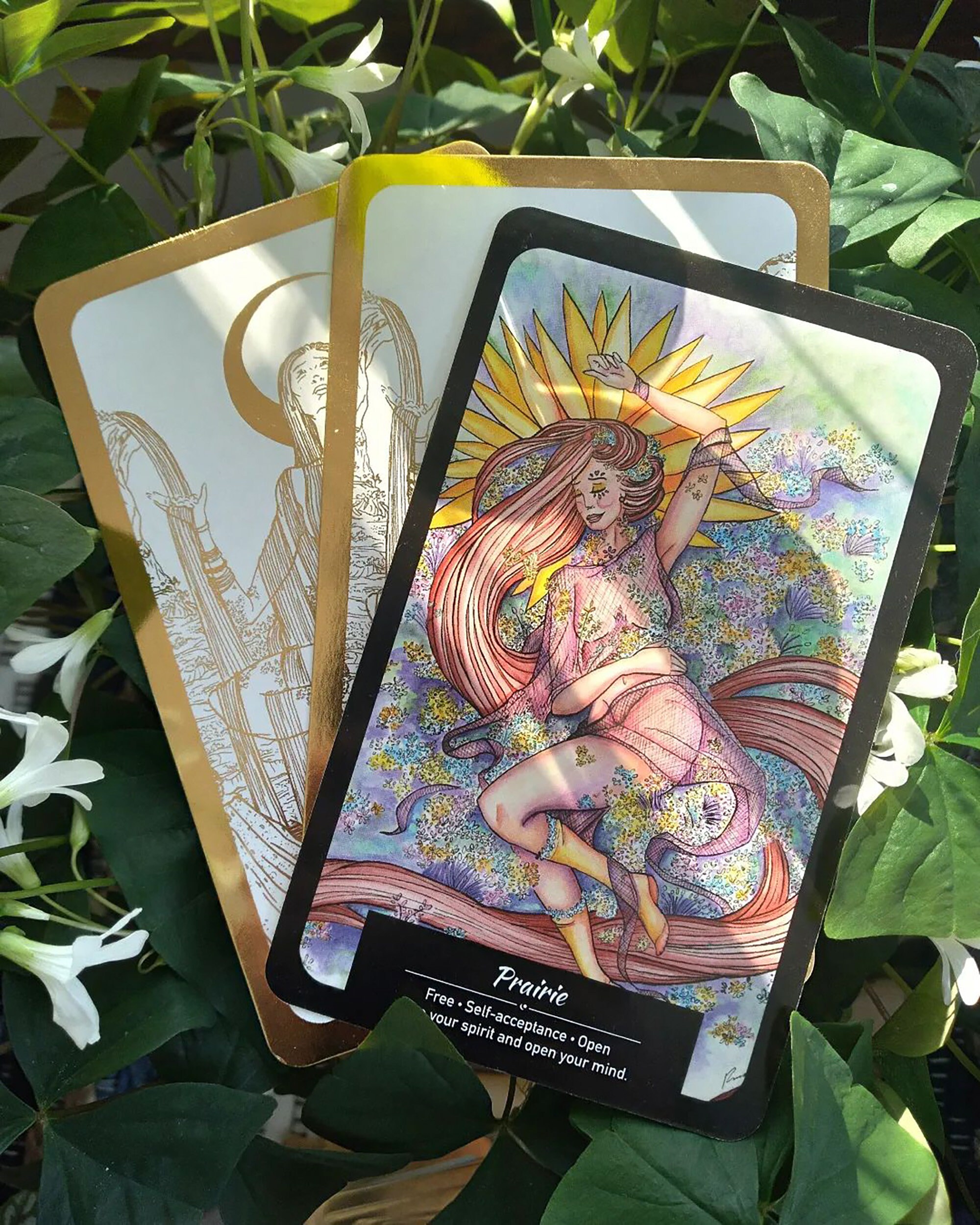 Women of the Earth Oracle Deck - Etsy