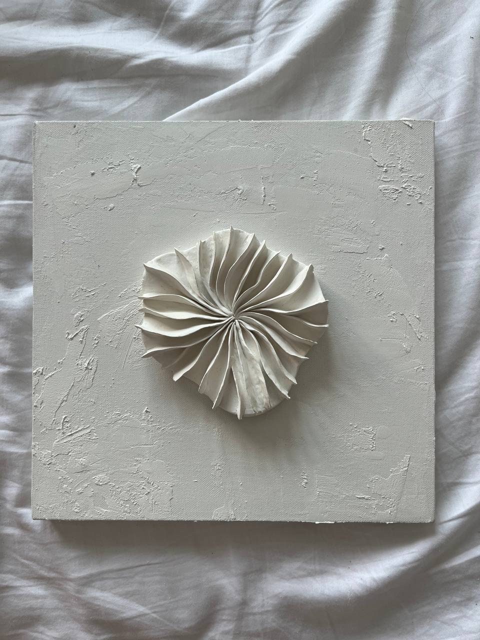 Sea Shell Abstract Art, Relief Art, Mediterranean Sea, Organic Texture ...