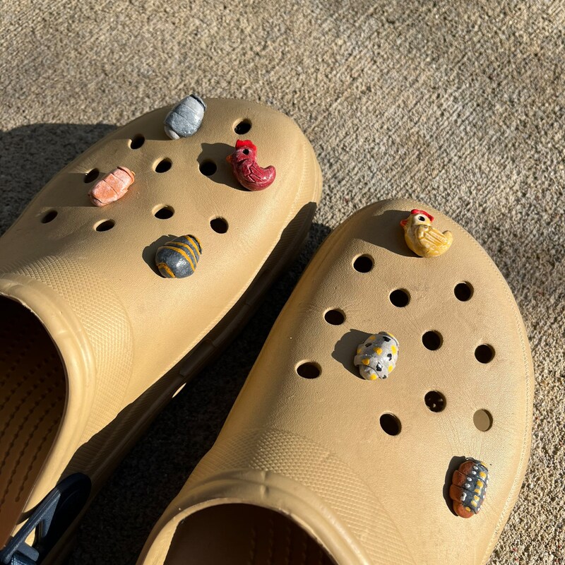 Weird Croc Charms - Etsy