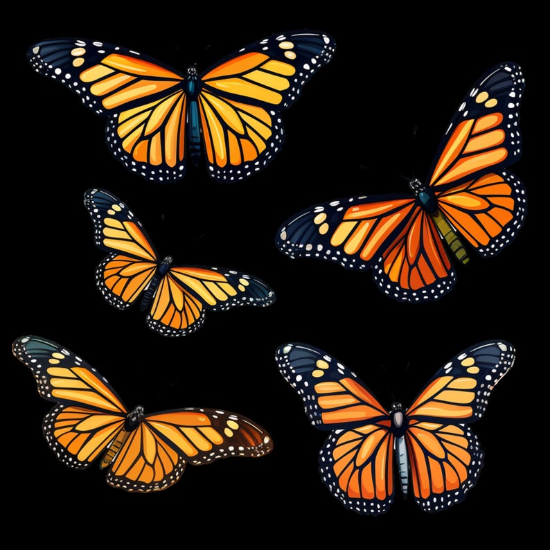 Monarch Butterfly Clipart Bundle - Digital Vector Artwork - Ideal for ...