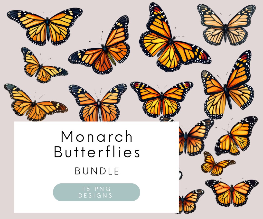 Monarch Butterfly Clipart Bundle - Digital Vector Artwork - Ideal for ...