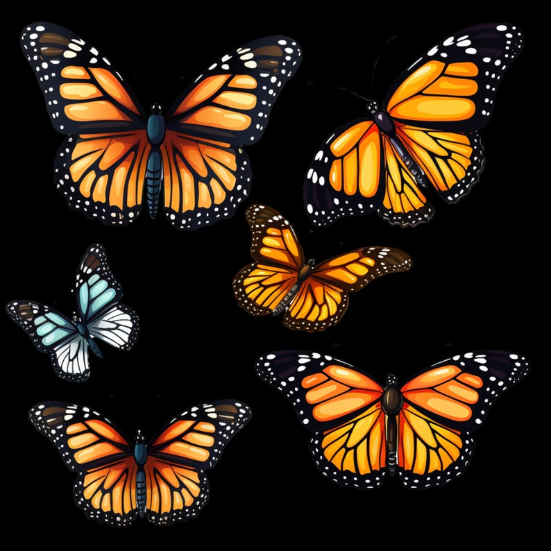 Monarch Butterfly Clipart Bundle - Digital Vector Artwork - Ideal for ...