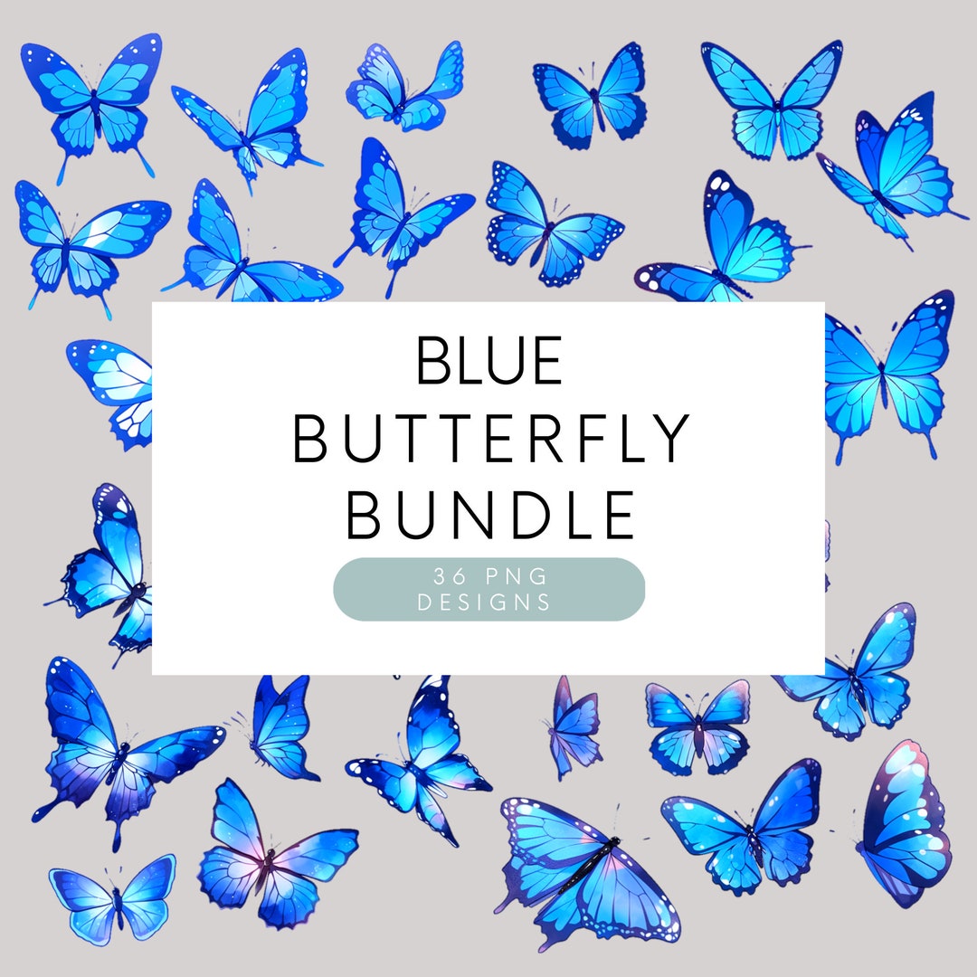 Elegant Blue Butterfly Clipart Bundle - Digital Vector Illustration Set ...