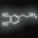 Dopamine - LED Neon Sign, Interior Decor, Room Decor, Wall Decor ...