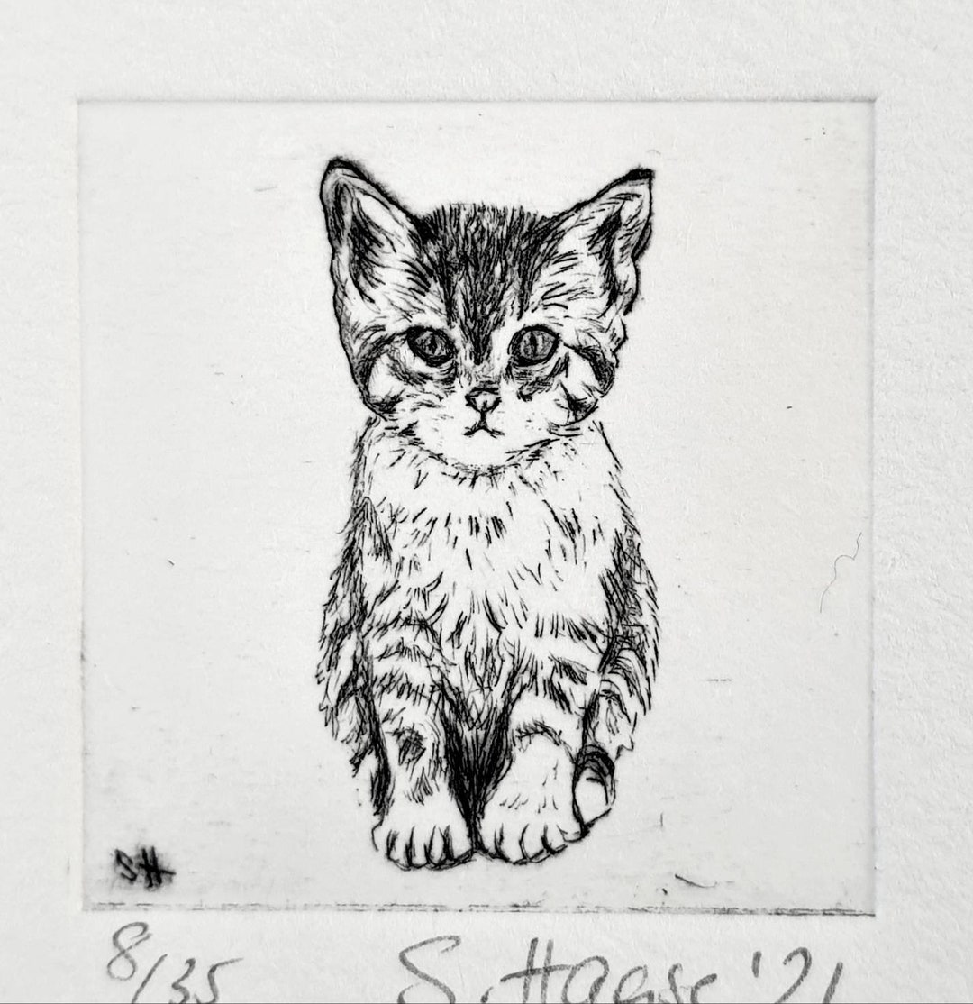 Original Etching Kitten Kitten Etching Kitten Small Cat - Etsy