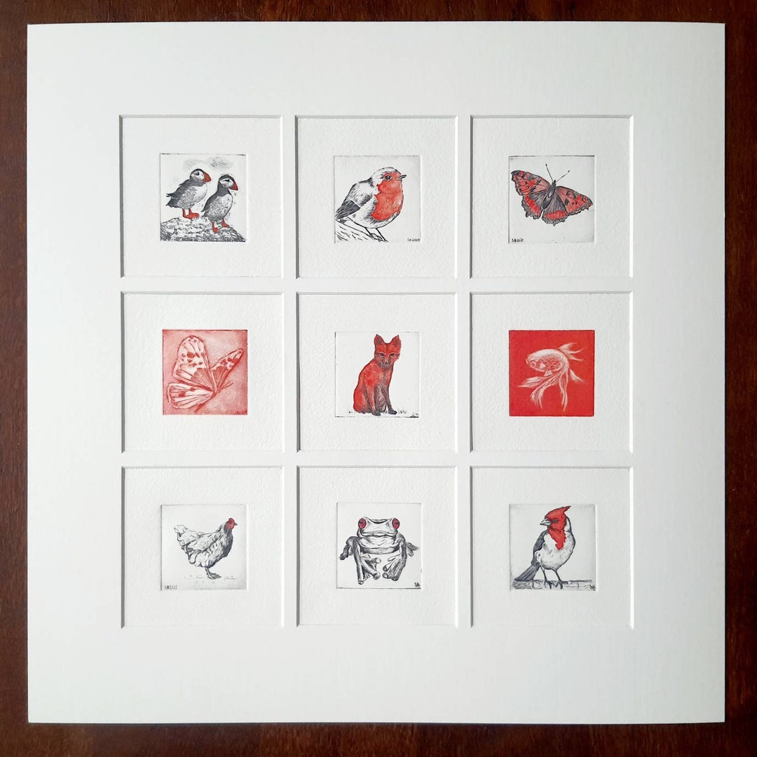 Animal Potpourri Black and Red, 9 Original Animal Etchings Drypoint ...
