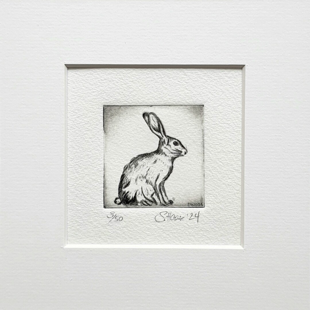 Original Mini Etching of a Small Hare or Rabbit, Limited, Original ...