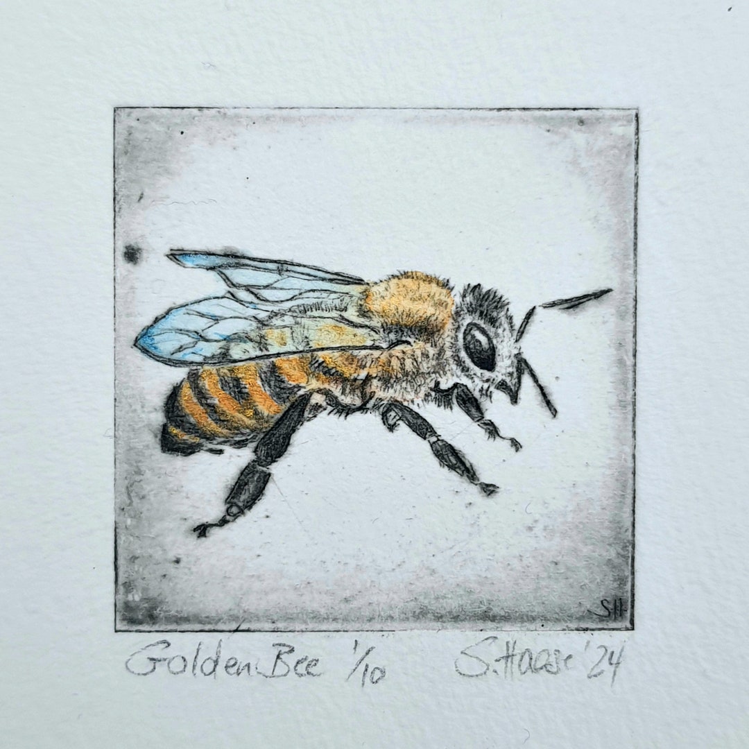 Golden Bee - Original Etching Bee Colored in Gold Tone With ...