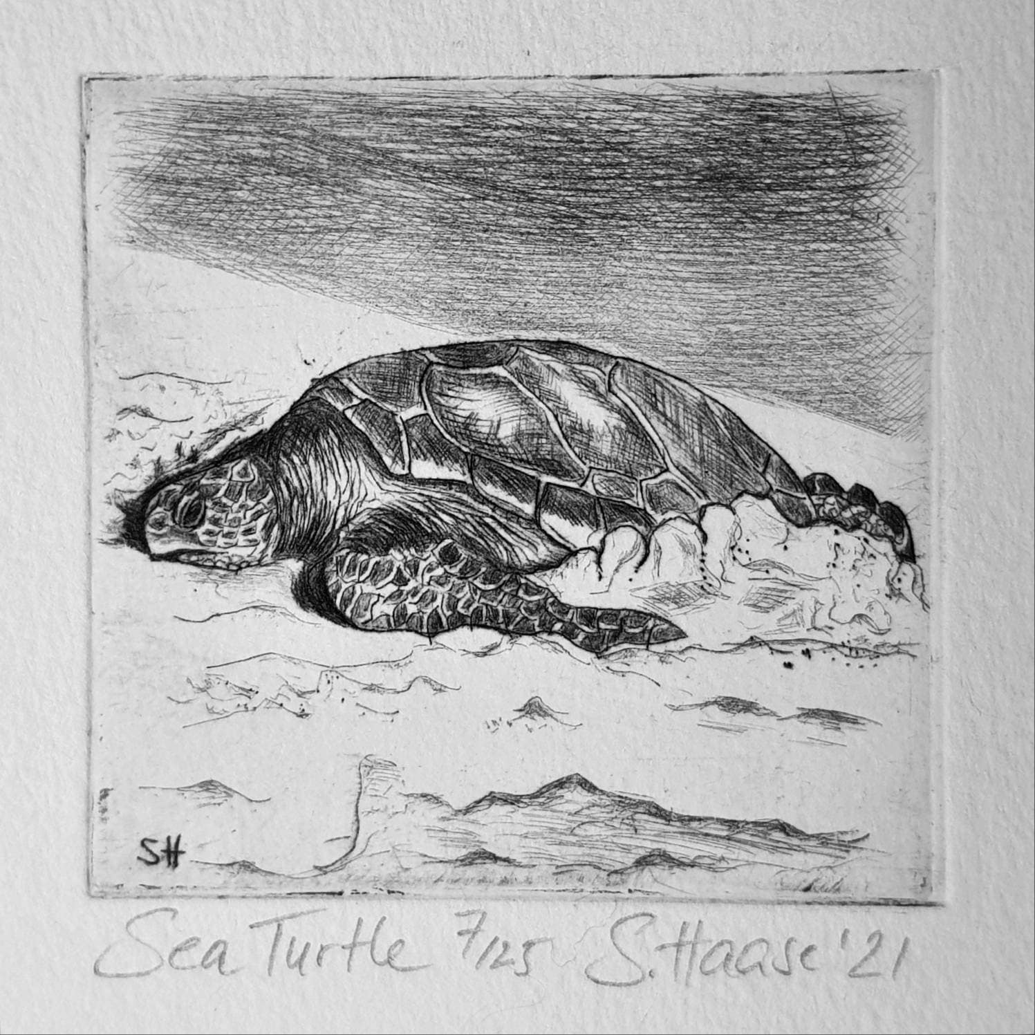 Giant sea turtle on the beach - original etching also as two-color ...