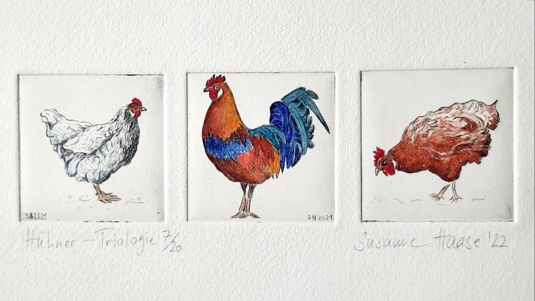 Chicken Trilogy, Chicken, Hen, Rooster, Original Etching, Original ...