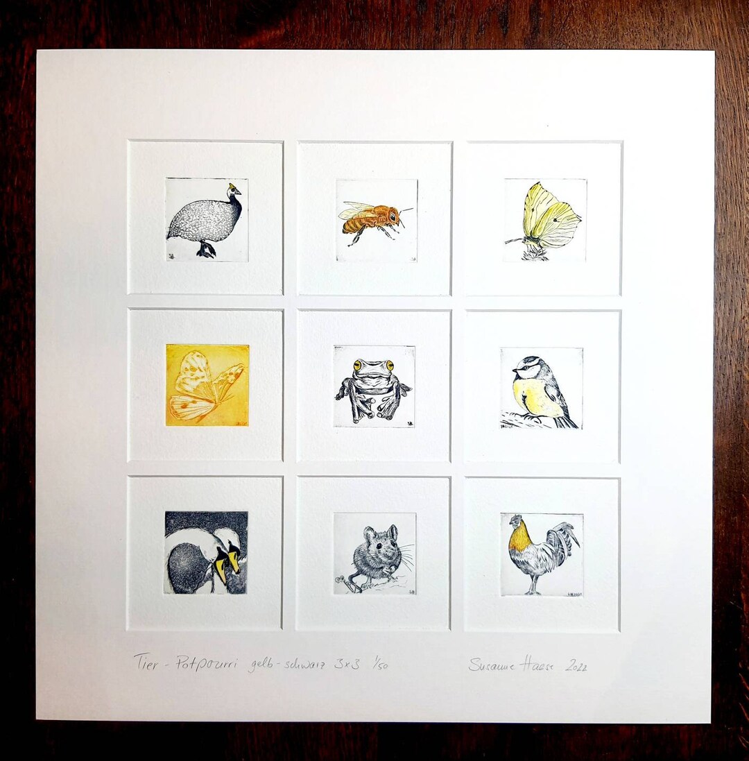 Animal Potpourri Black and Yellow, 9 Original Animal Etchings Drypoint ...