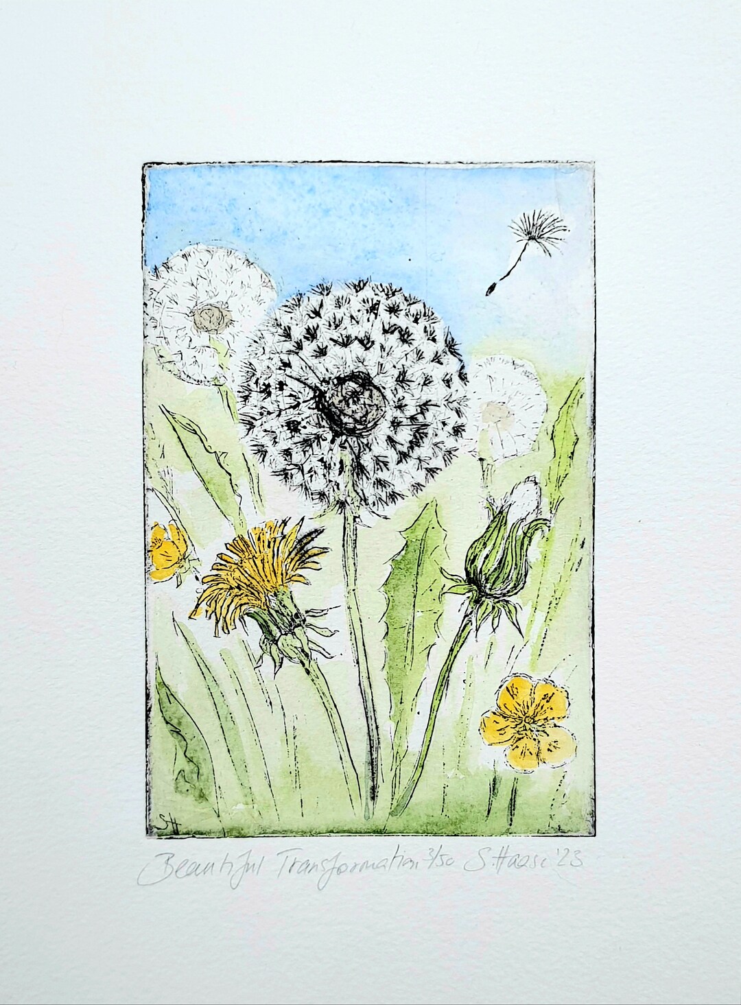 BEAUTIFUL TRANSFORMATION, Dandelion Original Etching in Different ...