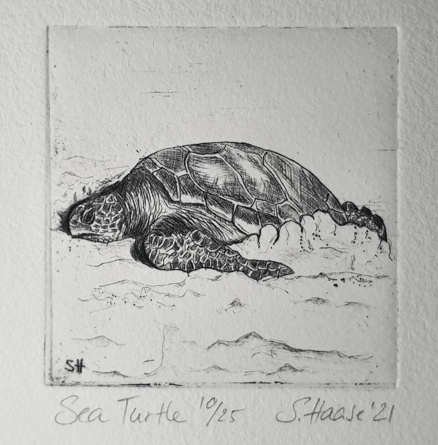 Giant sea turtle on the beach - original etching also as two-color ...