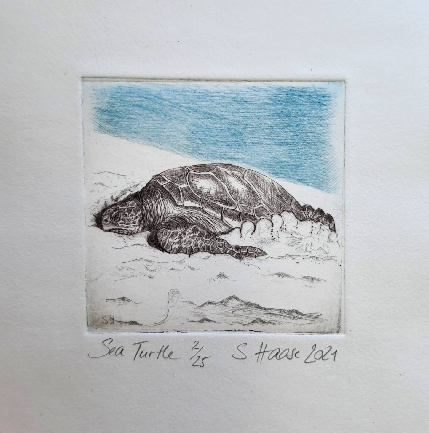 Giant sea turtle on the beach - original etching also as two-color ...