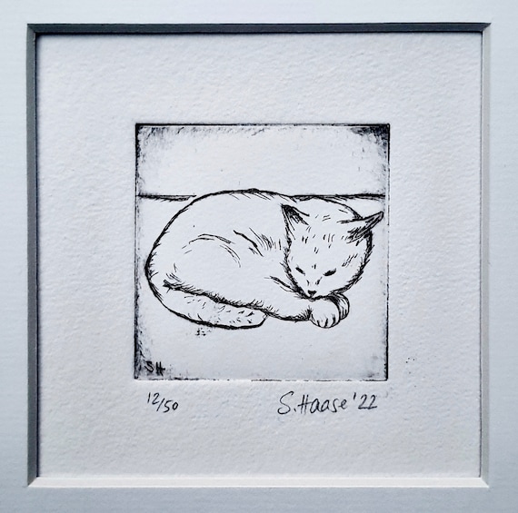 Kat Liggend Tekening Pijn Herkennen Bij Katten Praktijk Voor