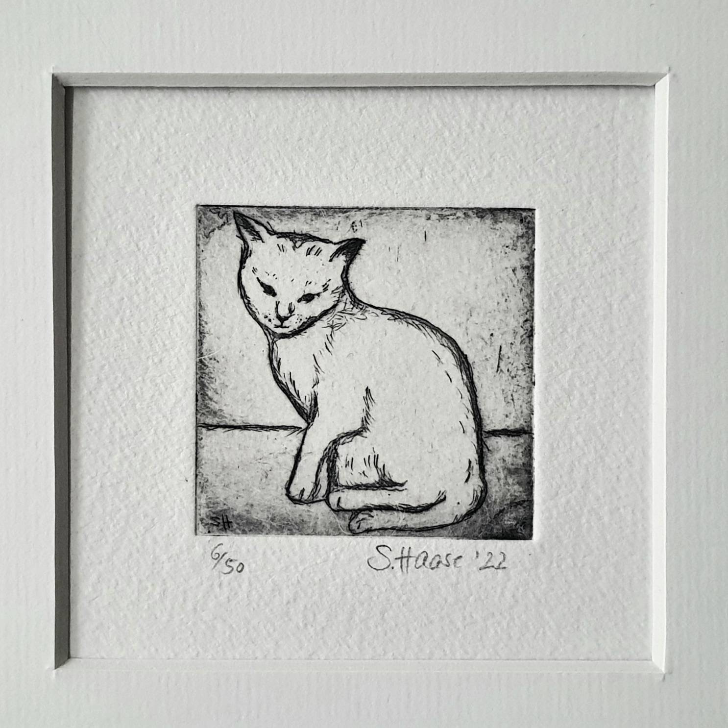 Original etching cat, cat, original etching cat, with/with passepartout ...